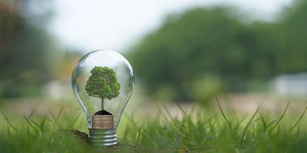 The Environmental Impact of Conventional Cleaners vs. Eco-Friendly Alt ...